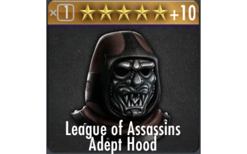 League of Assassins Adept Hood